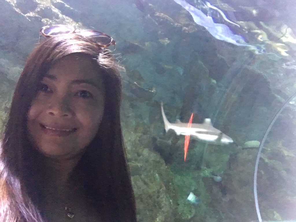 Underwater World Aquarium In Guam - Travel With Jeng