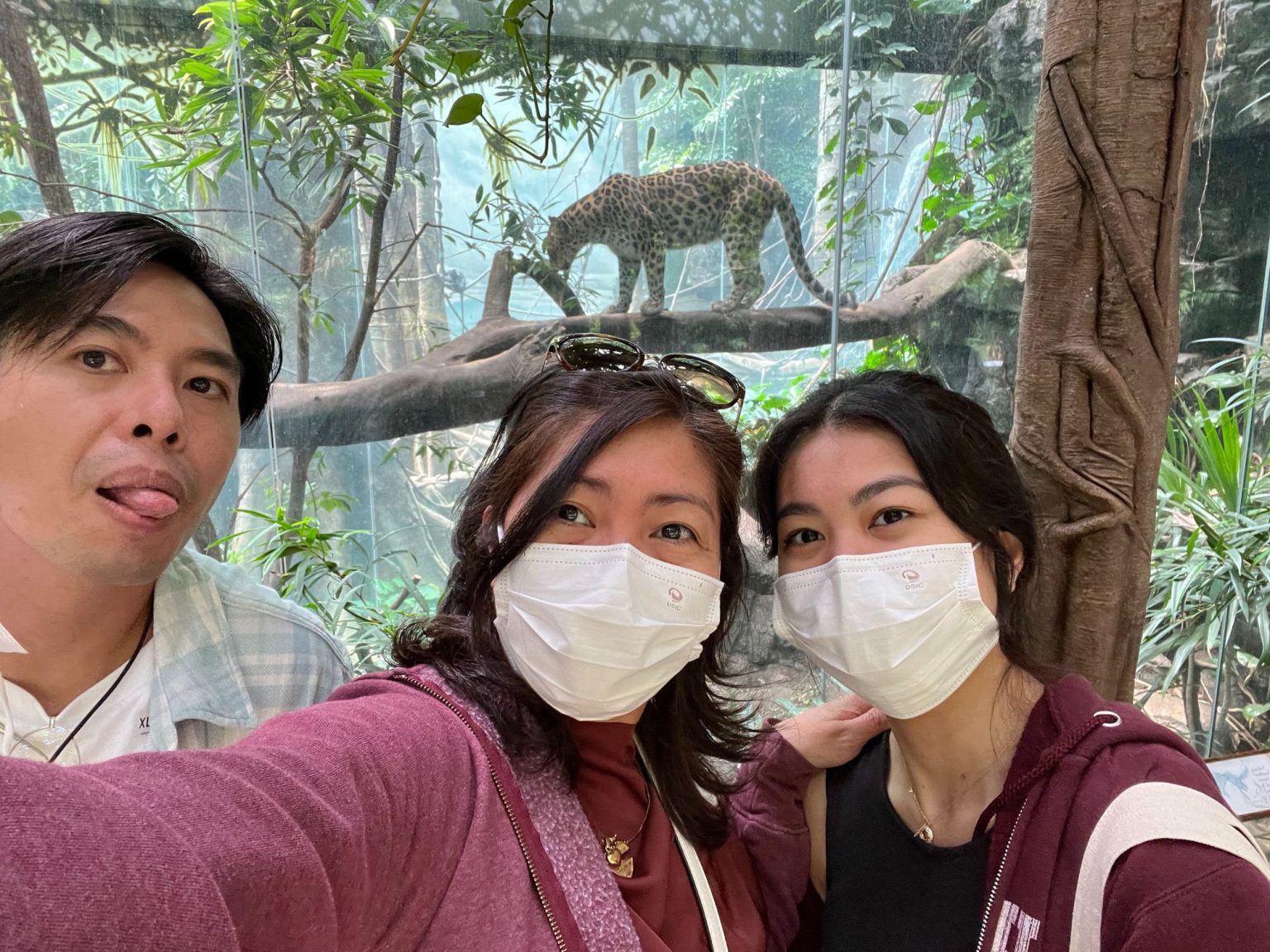 6 Fun Things To Do In Bronx Zoo - Travel With Jeng